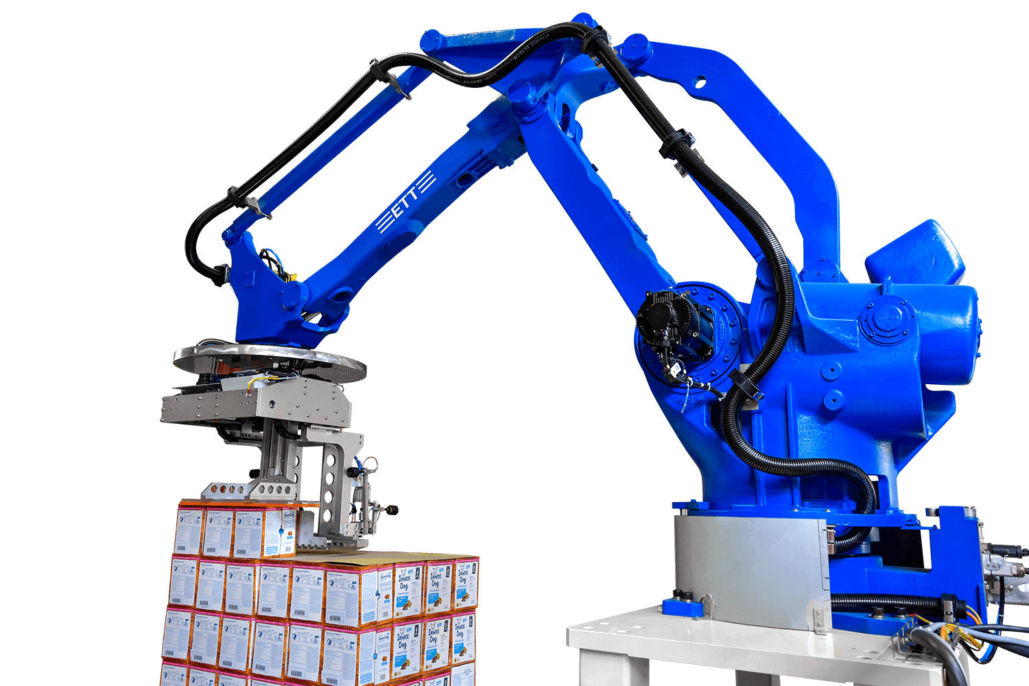 ETT Verpackungstechnik GmbH EN | End-of-line packaging systems